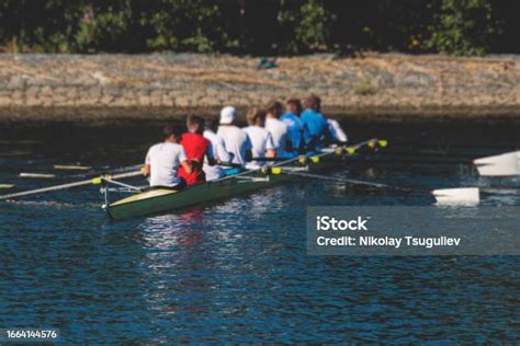 경기 중 스컬링을 하는 조정 팀 선수들 조정 운하에서 카약 보트 경주 여름 화창한 날의 레가타 강에서 훈련하는 카누 수상 스포츠 팀 Championship에 대한 스톡 사진