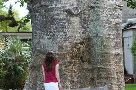 Writing In Scenes Go Teen Writers