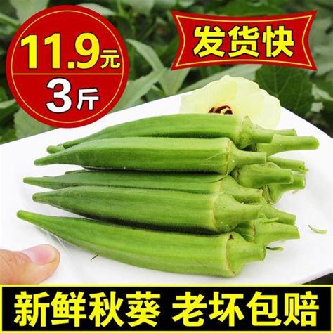 羊角菜指的是什么蔬菜