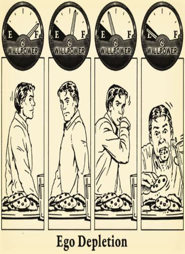 Human Cognition Semantic Memory And Executive Functioning Flashcards