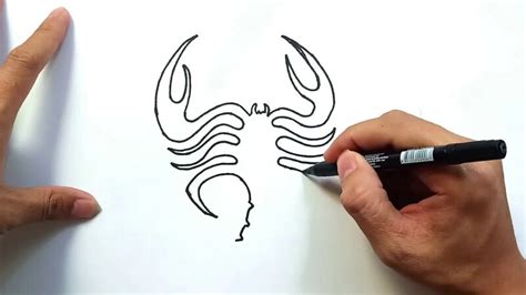How To Draw Emperor Scorpion Tattoo Easy Drawing Tutorial
