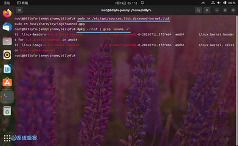 如何在 ubuntu 中安装和卸载 xanmod 内核 系统极客