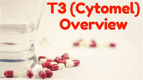 T3 Cytomel Overview What To Expect