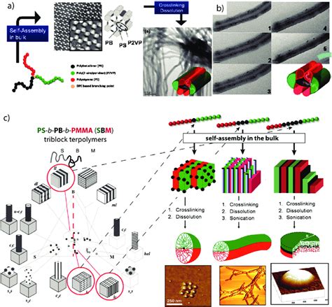 Compartmentalized Superstructures Via Bulk Morphologies A Hexagonal