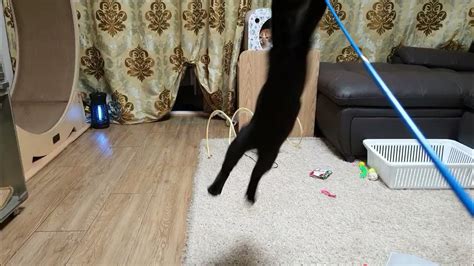 날 울게 하고 날웃게 하는 너희덕에 엄마가 산다~ Youtube