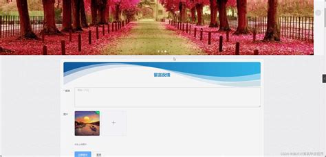 python计算机毕设【附源码】问诊平台管理系统（django mysql 论文） csdn博客
