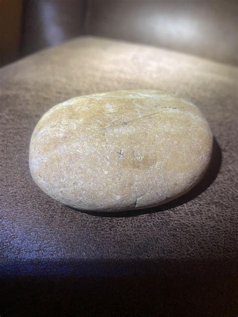 fossilized egg the solid white looks like eggshell and the dark lines