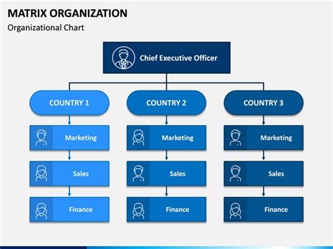 Organization Structure Functional Projectized Matrix