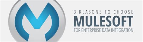 3 Reasons To Choose Mulesoft For Enterprise Data Integration Appnovation