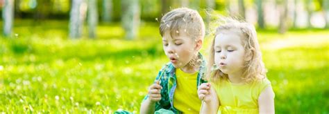 Ids Launch Allergy Immunodiagnostic Systems Ids