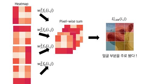 Cnn Visualization Cam And Grad Cam Tyamis Study Blog