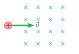 Solved A Particle With A Charge Of C Enters Into A Chegg Com