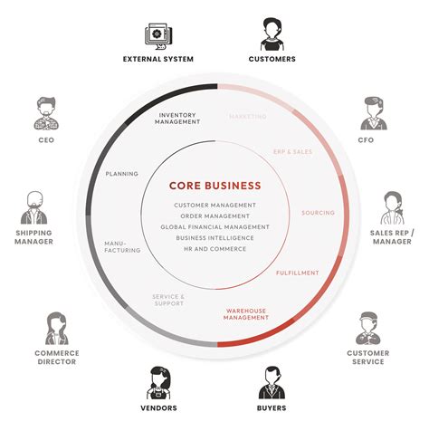 Oracle Netsuite Humanica