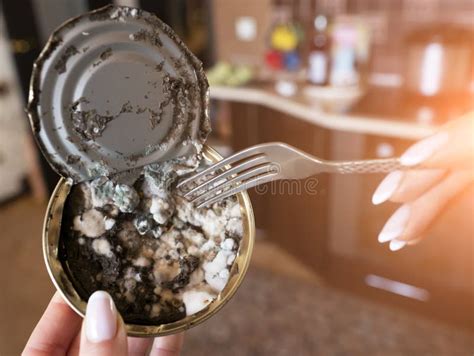 Expired Canned Fish In A Woman`s Hand Close Up Stock Image Image Of