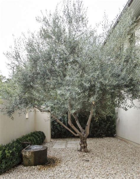 45 Steal Worthy Small Courtyard Designs Shelterness