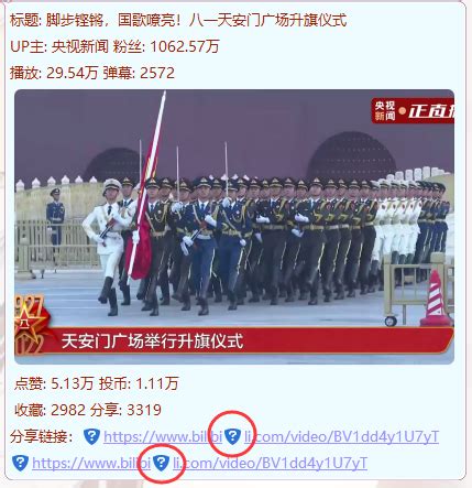 关于B站解析插件问题 Issue FloatTech ZeroBot Plugin GitHub