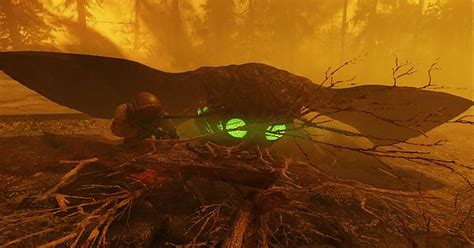 A Huge Bug Album On Imgur