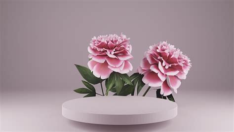 3d 렌더링 장미 꽃 배경 핑크 컬러와 기하학적 모양의 연단 제품 디스플레이 최소한의 개념 프리미엄 일러스트 파스텔 꽃 요소