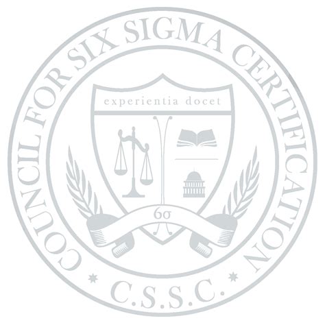 CSSC Transparent Shield Grey The Council For Six Sigma Certification