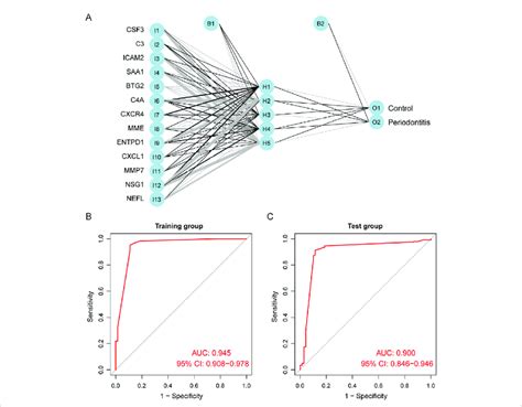 Construction And Evaluation Of Ann Diagnostic Model A The