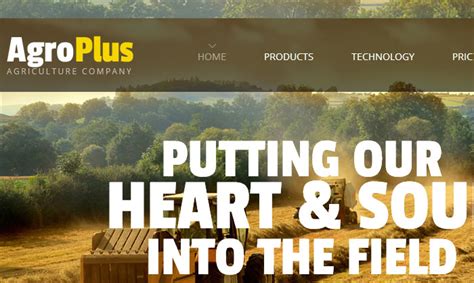 15 Free Responsive Html5 Website Templates Dj Designer Lab