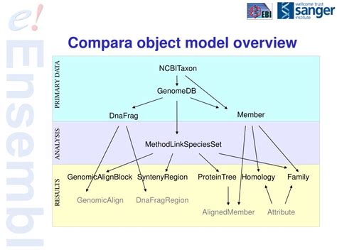 Ppt Ensembl Compara Perl Api Powerpoint Presentation Free Download Id145123