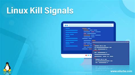 Linux Kill Signals How To Kill Signals In Linux With Examples
