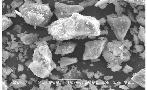 Sem Image Of Cement Particle Download Scientific Diagram