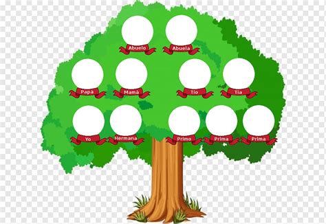 شجرة العائلة Png