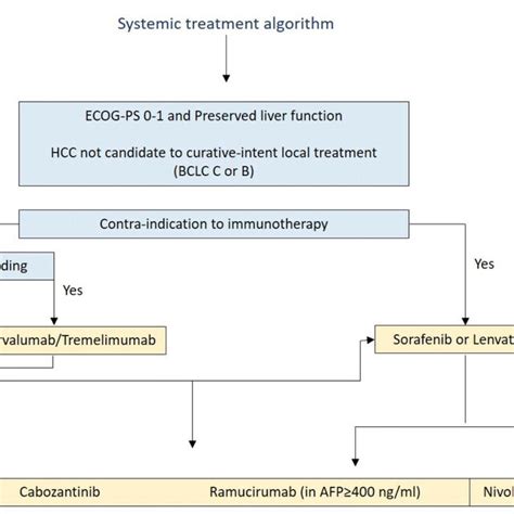 Treatment Strategy For Hcc With Systemic Therapies Bclc Barcelona