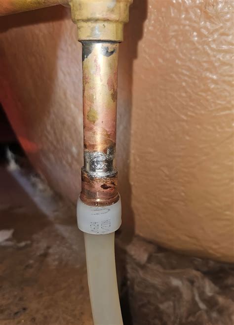 Replumb Question Facebook