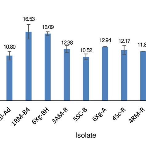 Extract Yield Of Secondary Metabolites Endophytic Fungi Mangrove