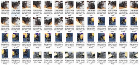 神经网络实现猫的种类识别 resnet猫的品种识别 csdn博客