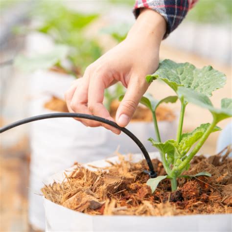 Optimizing Water Use The Advancements In Microirrigation Systems