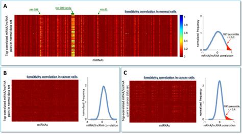 Sensitivity Analysis Heat Map Representing The Sensitivity Correlation Download Scientific