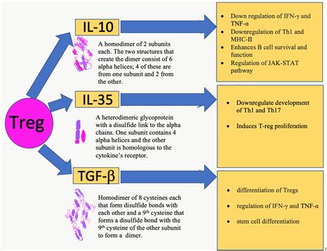 TB And COVID An Exploration Of The Characteristics And Resulting Complications Of Co Infection