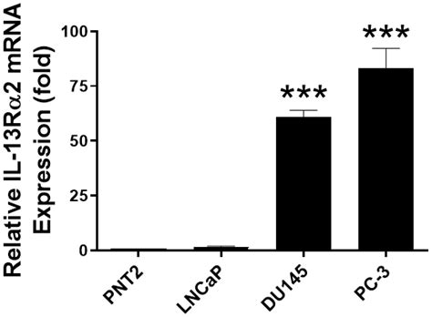 Targeting Of The Interleukin 13 Receptor Il 13rα2 Expressing Prostate