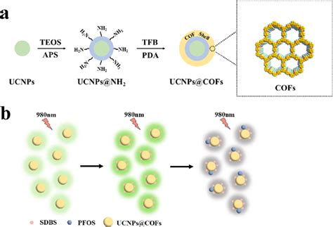 Scheme 1 A Illustration Of The Synthesis Of Core−shell Ucnps Cofs Download Scientific
