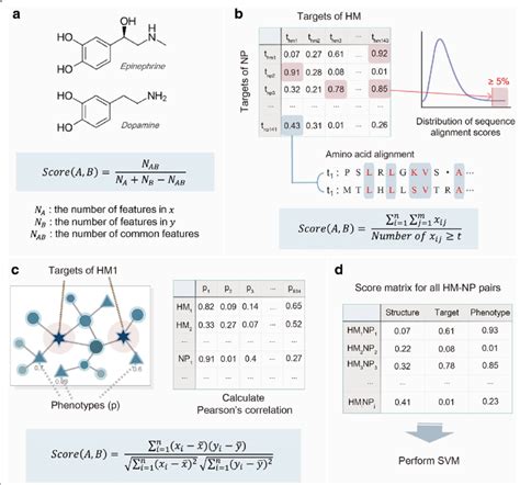 A Systematic Overview Of The Score Matrix Generation Three Scoring Download Scientific Diagram