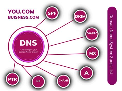 Professional Domain Dns Setup With Dns Dmarc Dkim Spf Ptr Ns