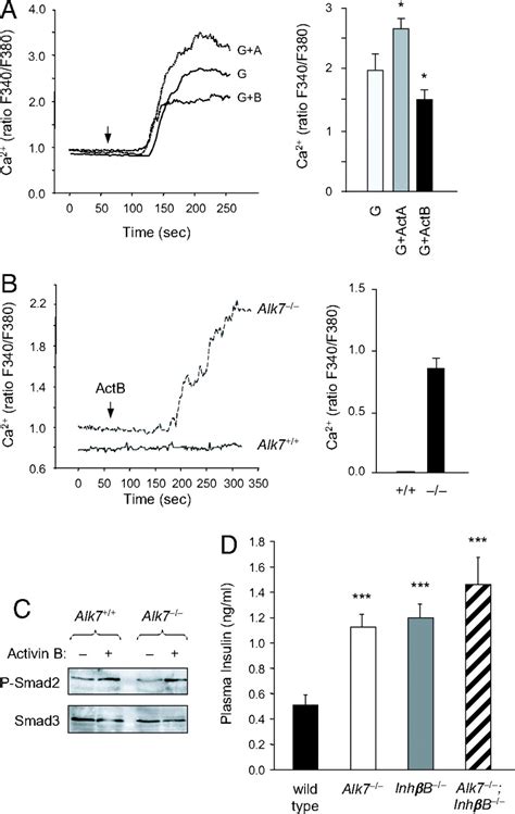 Activin B Receptor Alk7 Is A Negative Regulator Of Pancreatic β Cell