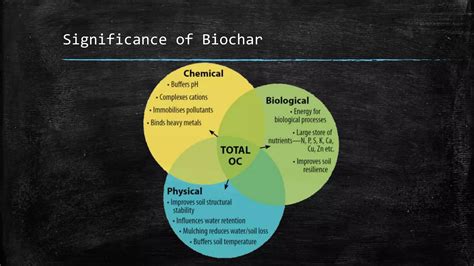 Biochar Preparation And Application Water Pollution And Control Course Teacher Dr Md