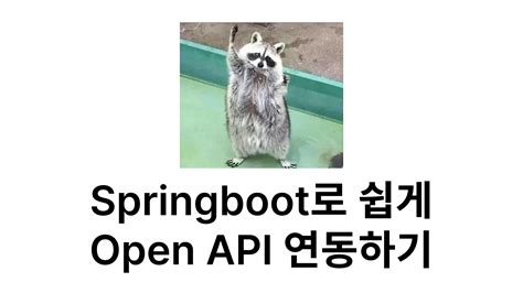 Springboot Open Api와 통신하여 Springboot 서버 개발하기 Feat Urlconnection