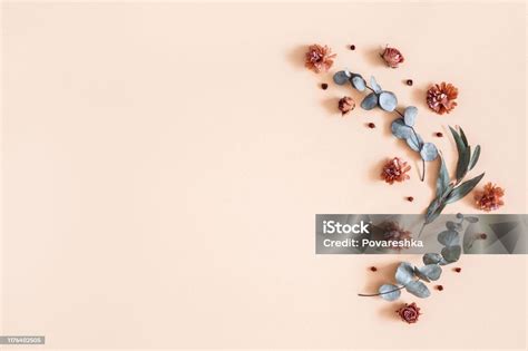 가을 구성 말린 꽃 유칼립투스 잎 베이지 색 배경의 열매로 만든 패턴 가을 가을 추수 감사절 개념입니다 플랫 레이 상단 보기 복사 공간 베이지에 대한 스톡 사진 및 기타