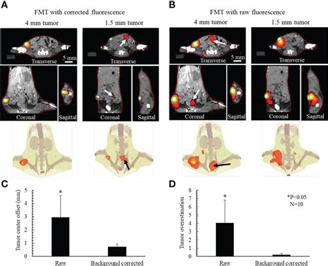 Active Targeting Fmt Reconstruction Respectively Based On Download