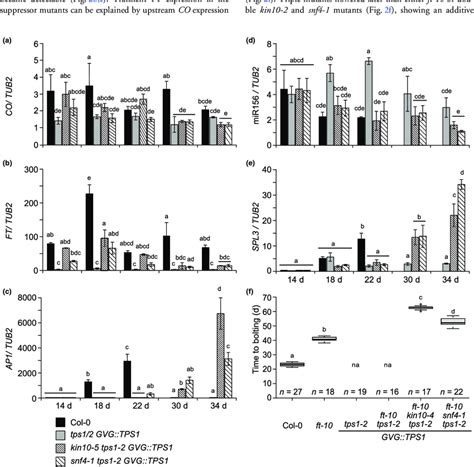 Regulation Of The Age And The Photoperiod Dependent Pathways Is Download Scientific Diagram