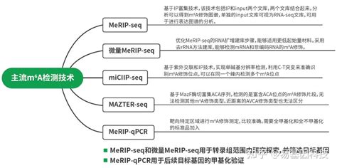 易基因｜rna M6a甲基化测序 Merip Seq 技术介绍 知乎