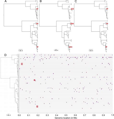 Clonalframeml Efficient Inference Of Recombination In Whole Bacterial Genomes Abstract
