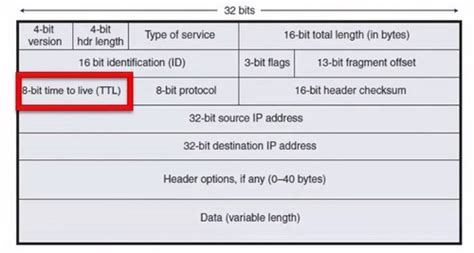 Lecture Network Layer Flashcards Quizlet