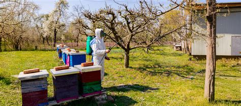 Minimising Pesticide Use Protecting Bees And The Environment B Trace Australia